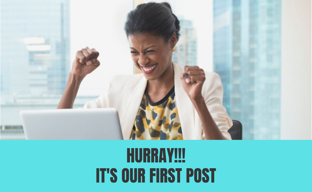 Hurray!!! It's our very first post - Greathomemaking